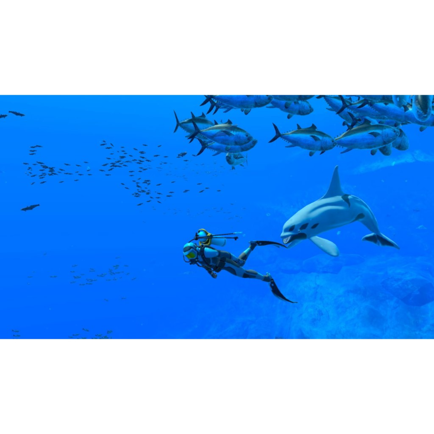 Nintendo Switch Game Endless Ocean Luminous | Thunder Match