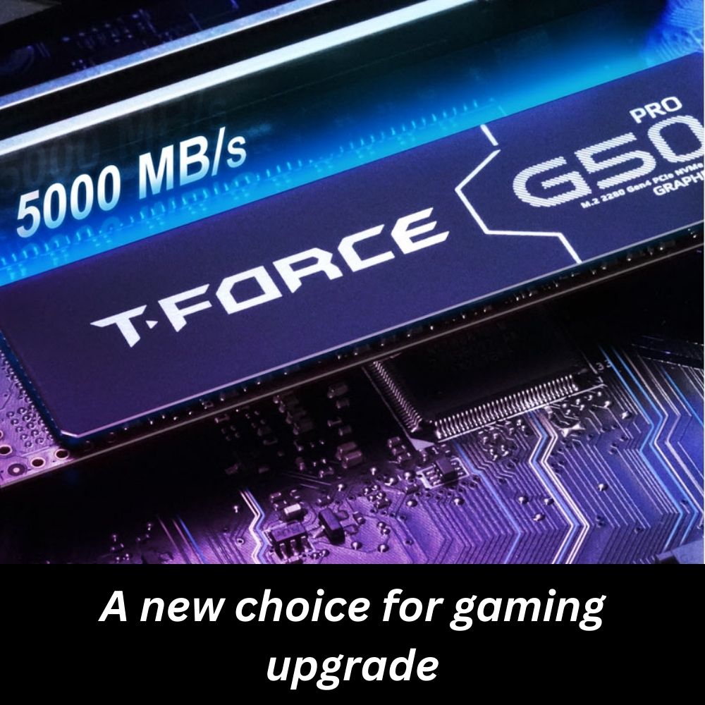 Team Group T-Force G50 M.2 2280 PCIe NVMe Gen4 SSD | Thunder Match